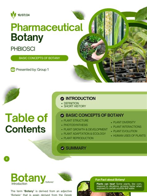 Group 1 Basic Concepts Of Botany Pdf Botany Plants