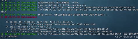 如何在虚拟机中安装python 和 Jupyter，并且启动运行delta Lake，以及解决一下启动过程中出现的错误（保姆级教程）怎么在虚拟机上开启jupyter服务器 Csdn博客