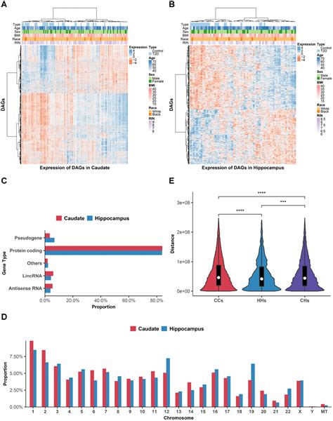 Comprehensive Transcriptomic Analysis Indicates Brain Regional Specific Alterations In Type 2