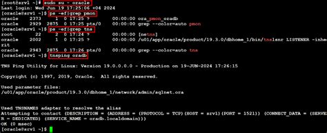 Install Sql Developer In Windows 11 Easy Step By Step Guide