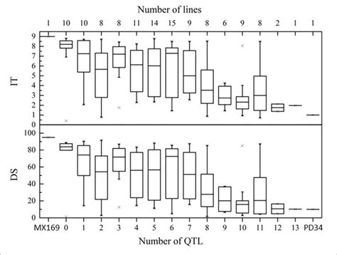 Effects Of Individual Qtls And Their Combinations On Stripe Rust
