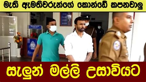 පොලීසියට සද්දේ දැමු සැලුන් මල්ලි උසාවියට Youtube