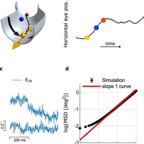 Effect Of Intrinsic Noise In A Continuous Attractor Neural Network A Download Scientific