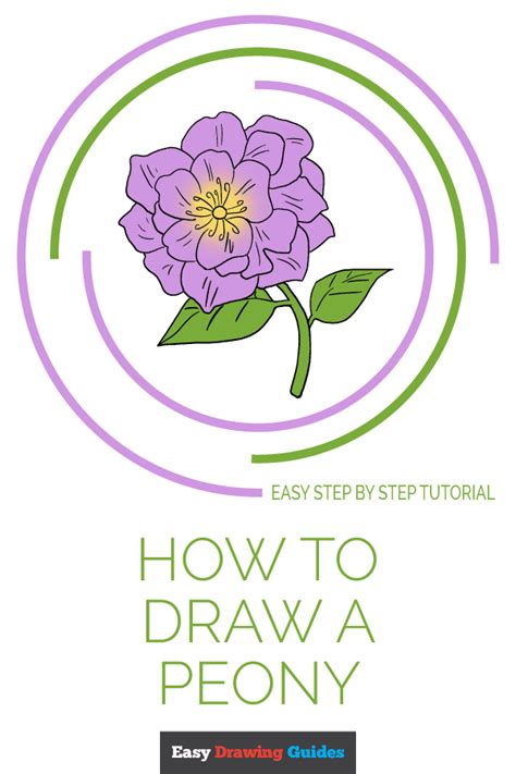 How To Draw A Peony Really Easy Drawing Tutorial