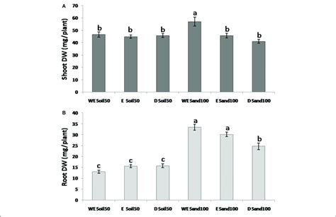 Morphological Traits Across The Three Different Wheat Species A
