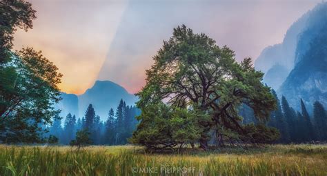 배경 화면 햇빛 경치 화려한 숲 언덕 자연 잔디 하늘 들 연기 분기 해돋이 저녁 아침 불 분위기 국립 공원 황야 마운트 풍경 구출