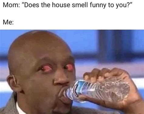 Why Does It Smell Like Skunk In Here Rweed