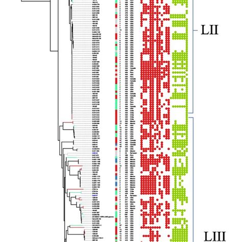 Distribution Of Selected Virulence Associated Genes The Phylogenetic Download Scientific