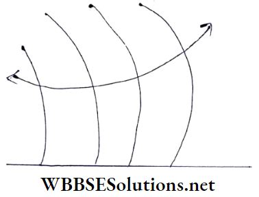 WBCHSE Class Physics Light Wave And Interference Of Light Multiple Choice Questions WBBSE