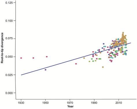 root to tip regression of a maximum likelihood ml phylogenetic tree