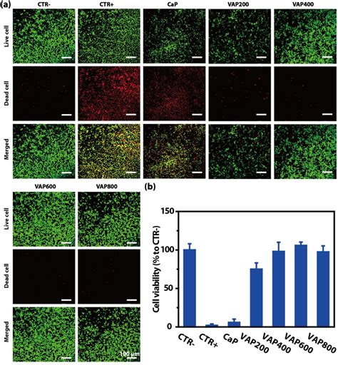 A Lscm Images And B Quantitative Datas Of Rsc96 Cell Viability On Download Scientific Diagram