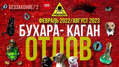Отлов бездомных животных Бухара Каган Истребление собак и кошек на