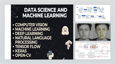 Do Artificial Intelligence Neural Network Tasks And Projects By