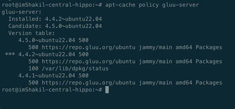 Finding Package Version In Linux