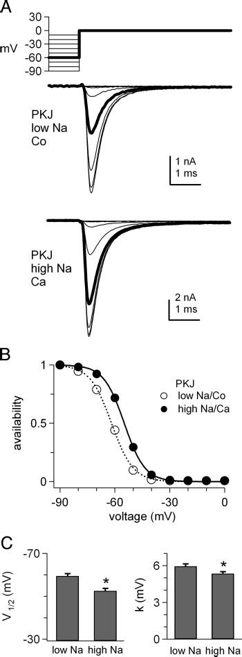 Positive Shift Of Steady State Inactivation Curve In Purkinje Cells By Download Scientific