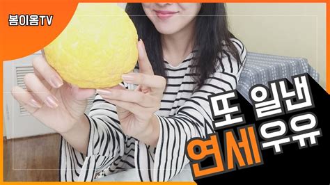 신상나온 연세우유 🌽옥수수생크림빵은 완전feat 솔직후기 Youtube