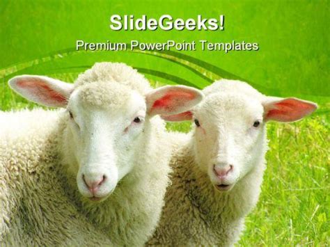 Two Sheep Nature Powerpoint Templates And Powerpoint Backgrounds 0411