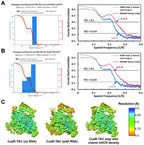 figure s3 validation of cryo em maps and structural models related to