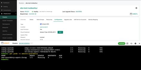 streamline guardduty add on management for amazon eks clusters rafay