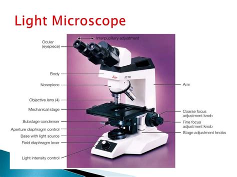 123 Types Of Microscopes And Microtechniques Ppt