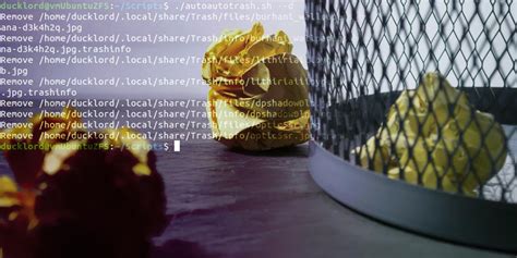 How To Empty Your Trash Automatically In Ubuntu With Autotrash