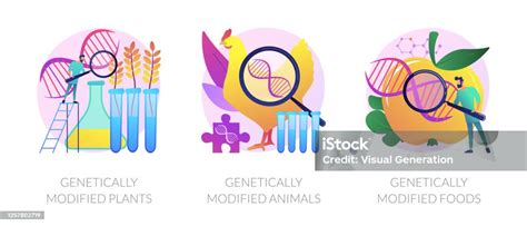 유전자 변형 벡터 개념 은유 개체 그룹에 대한 스톡 벡터 아트 및 기타 이미지 개체 그룹 복제 Dna Istock