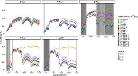 Detection Of Palmer Amaranth Amaranthus Palmeri And Large Crabgrass Digitaria Sanguinalis