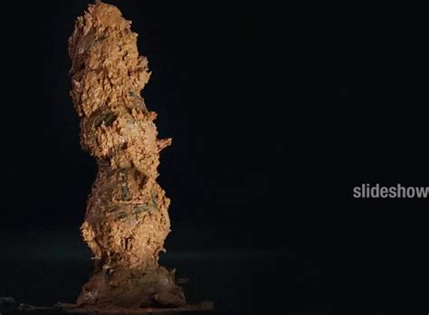 Analaddict Shit Is My Best Lube Slides