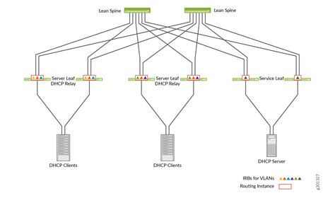 Extreme Switch Configure Dhcp Relay At Kai Chuter Blog
