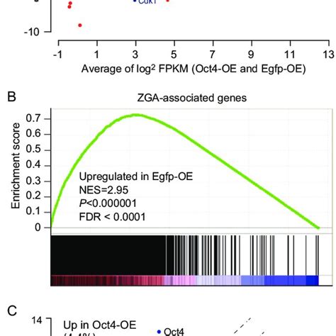 Transcriptome Analysis By RNA Seq In Oct4 OE A MA Plot From RNA Seq Download Scientific