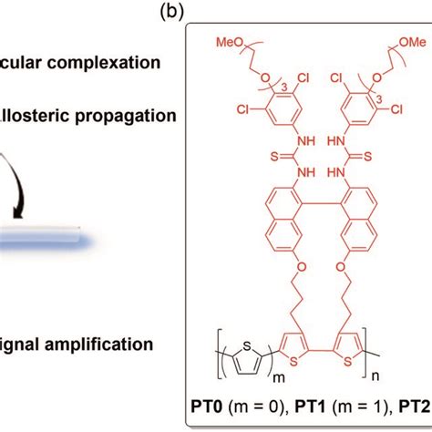 A The Basic Idea Of Supramolecular Allosteric Signal Amplification Download Scientific