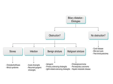 Endoscopic Retrograde Cholangiopancreatography Pptx