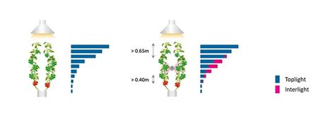 Led Interlighting System