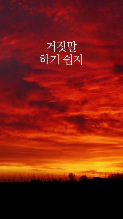 손바닥으로 하늘을 가릴 수 없어 인생글 인생글귀 짧은글 짧은글귀 감성글 감성글귀 슬픈글 슬픈글귀 인과응보 거짓말 아픈글귀 글귀 인생조언 명언 업보