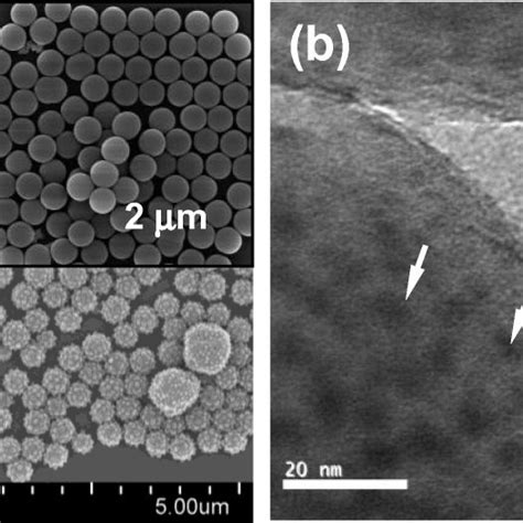 a x ray diffraction xrd patterns of sio2 cooh a cds ncs b and