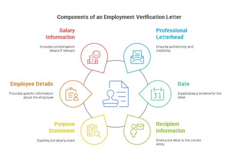 Everything You Need To Know About Employment Verification Letters Precise Hire