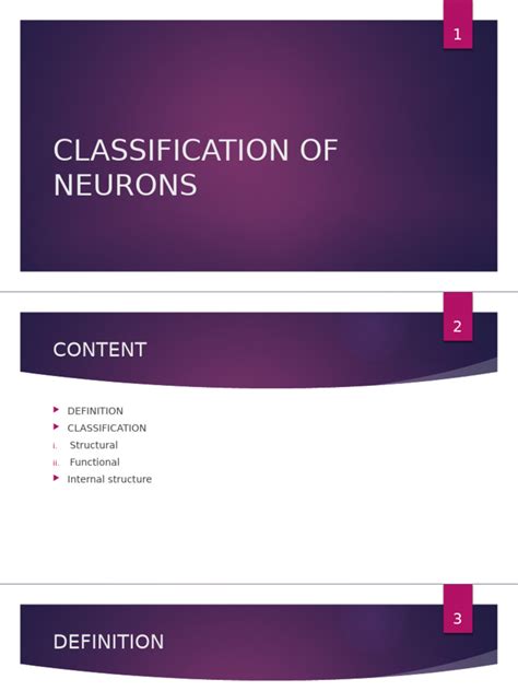 Classification Of Neurons Pdf Neuron Axon