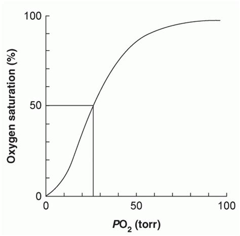 The Circulation Anesthesia Key