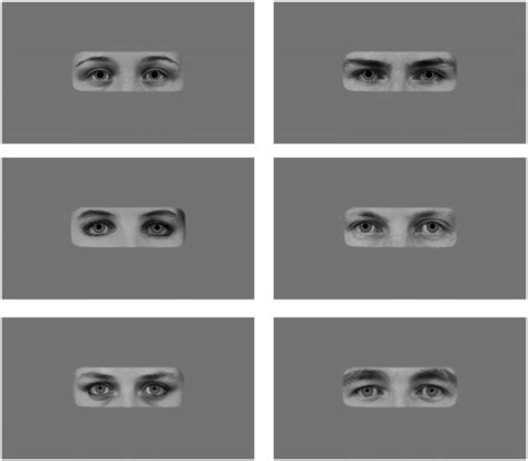 Pupil Gauge Chart