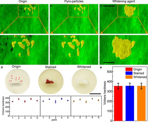 Non Destructive Characterization Scanning Electron Micrographs Of The Download Scientific