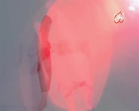 Insatiable Milfs Softcore