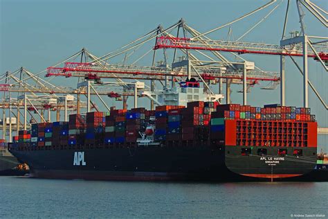 Liebherr Container Cranes Receives Crane Order From Australia Container Management