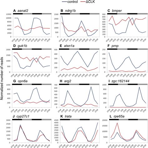 Diverse effects of ΔCLK on expression profiles of clock controlled Download Scientific Diagram