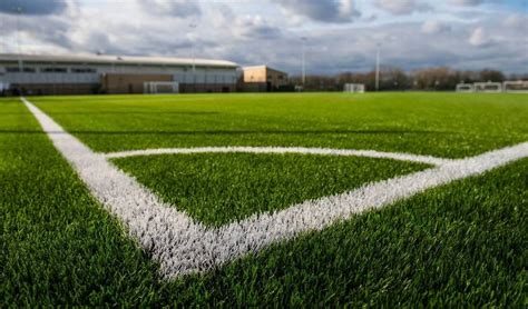 Benefits Of Artificial Turf Fields At Isaac Perdriau Blog
