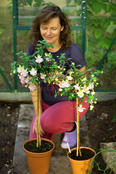 Adele Studying Her Floriforous Half Standard Southgate Fuchsias Stock