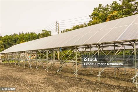 Panel Tenaga Surya Modul Photovoltaic Untuk Inovasi Energi Hijau Untuk Kehidupan Dengan Latar