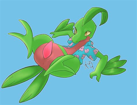 Post 5310819 Grovyle O Ishi Porkyman