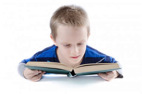 무료 이미지 쓰기 도서 독서 사람들 화이트 놀이 소년 아이 외딴 남성 좌석 생각하다 어린이 팔 셔츠 생성물 장난 연구 유아 남학생