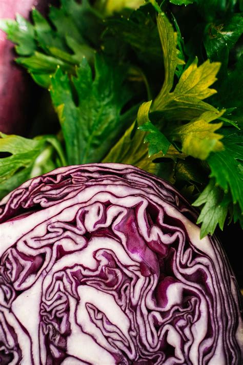 거친 건강식품 건강한 건강한 식생활 날 음식 녹색 생활 방식 녹색 채소 농작물 다이어트 미니멀리스트 바삭한 질감 비건 채식 비타민이 풍부한 샐러드