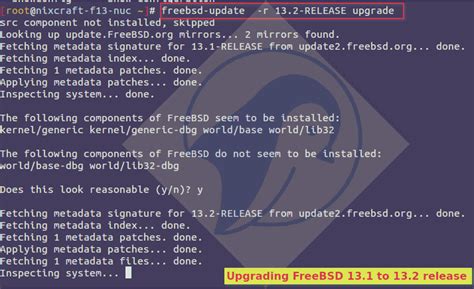 How To Upgrade Freebsd 131 To 132 Release Nixcraft